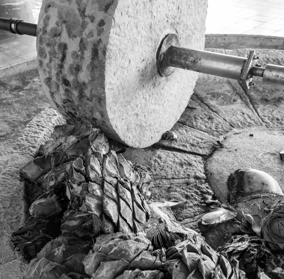 Authentic Tequila Craftsmanship at Celosa Tequila - Celosa Tequila