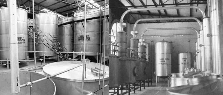 Types of Tequila Explained Guide to Flavors and Aging