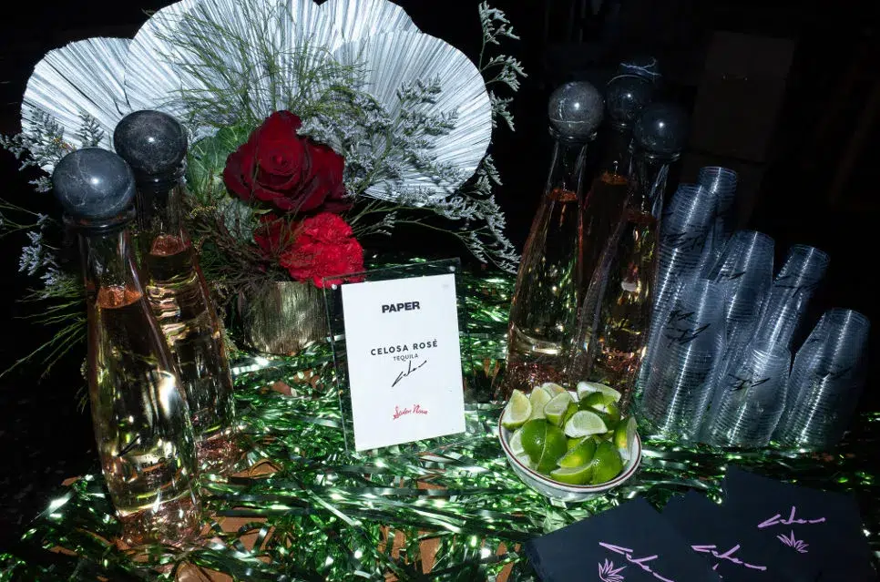 Guide to Hosting a Memorable Pink Tequila Tasting Party