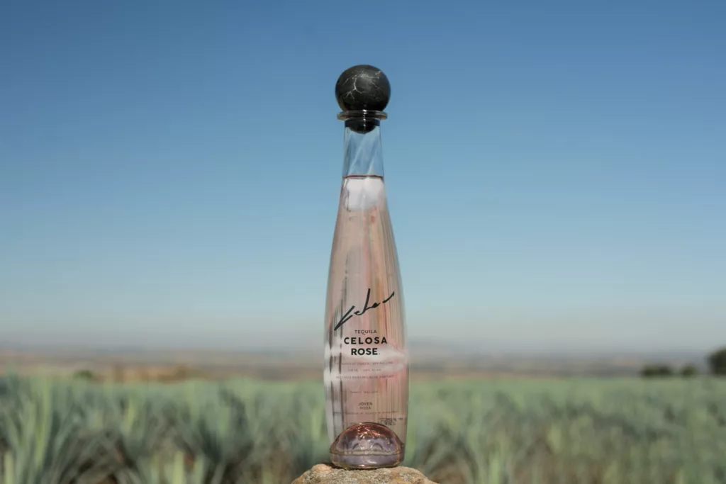 Discover the Best Tequila in Mexico: A Flavorful Journey