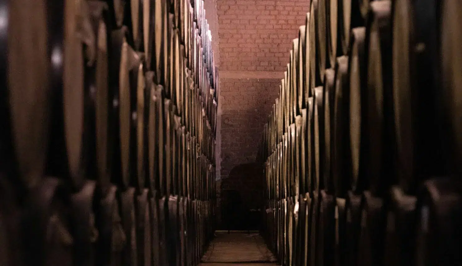 French Oak Aged Luxury Tequila: The Art of Celosa Tequila