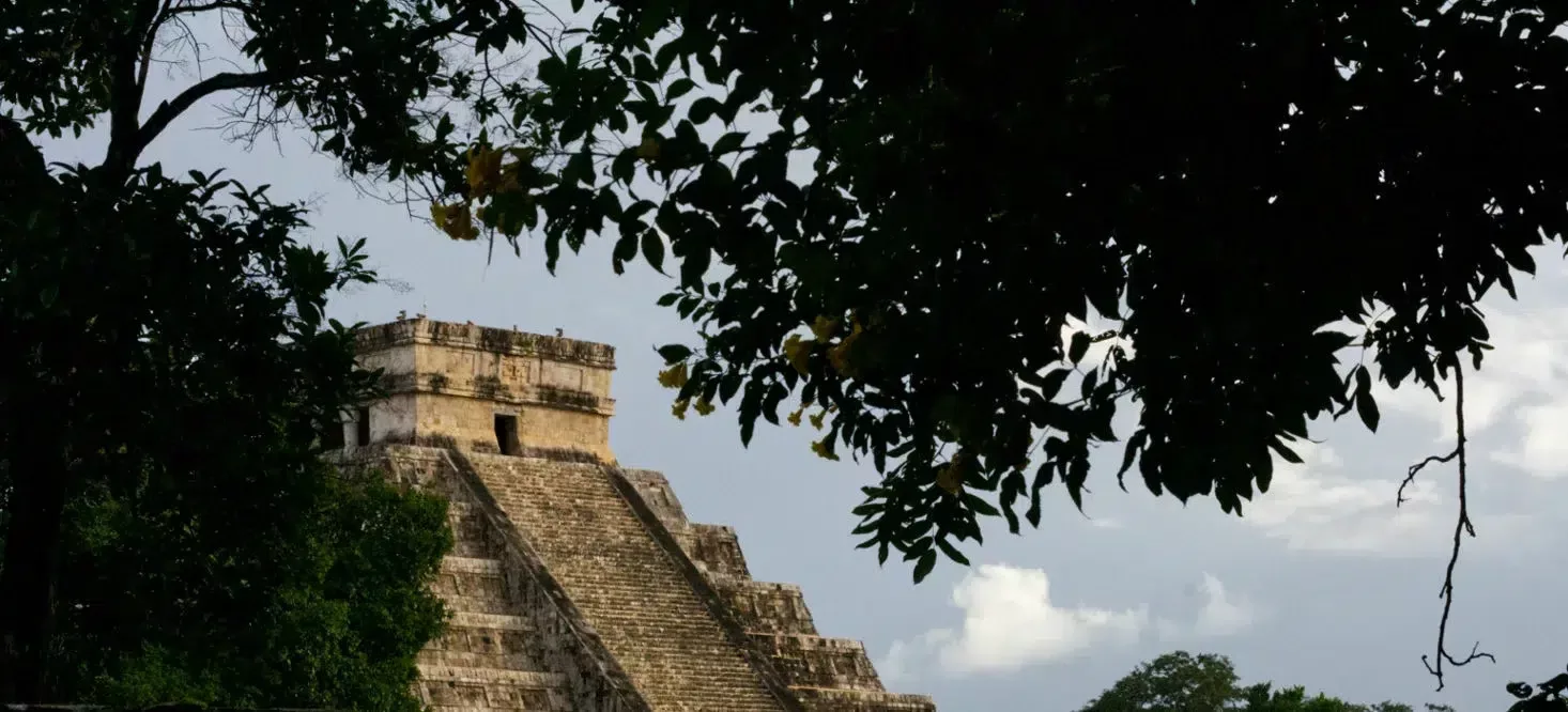 The Origin and Evolution of Tequila - Celosa Tequila