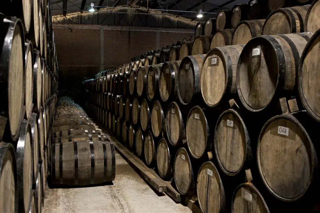 Types of Tequila Explained Guide to Flavors and Aging