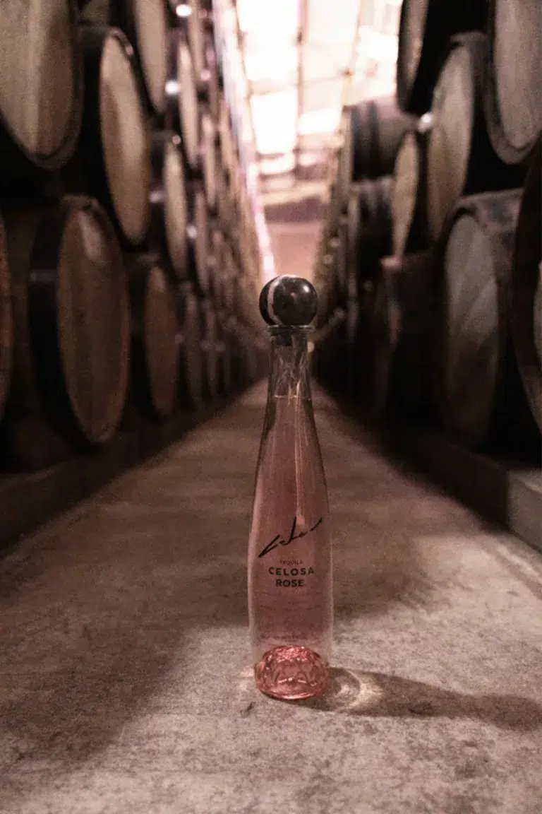 Tequila Longevity: How to Store and Preserve its Authenticity