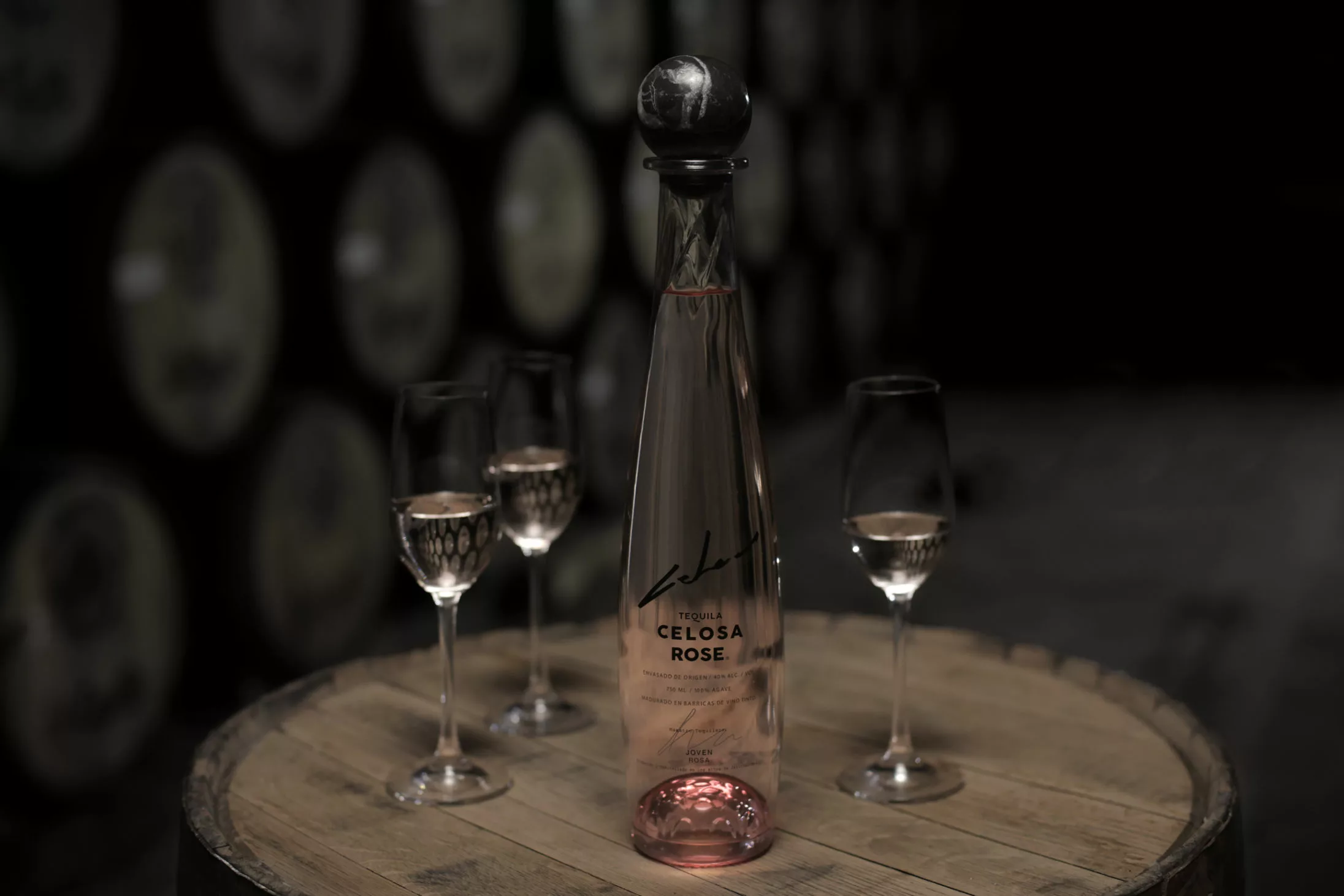 All About Mexican Tequila - A Simple Complete Guide