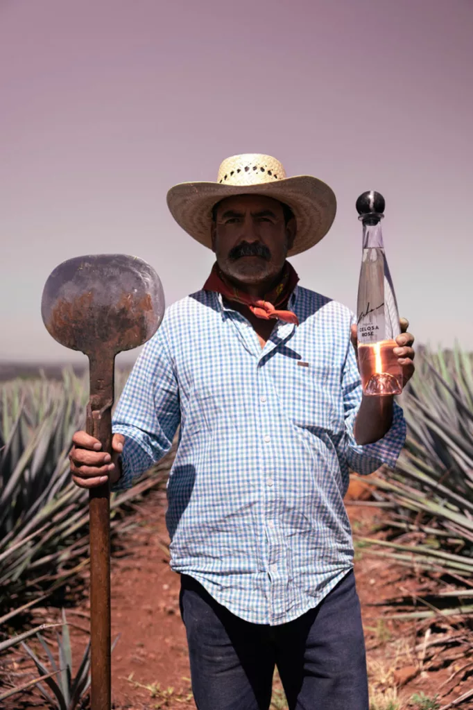 Tequila Cocktails Easy Recipes Tips and Types of Tequila