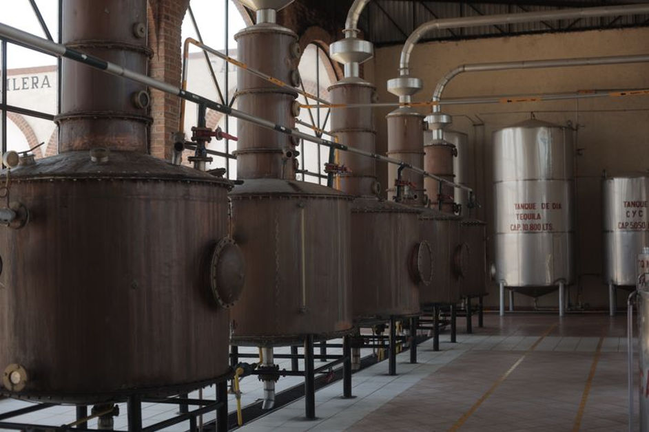 Tequila Jalisco: History, How It's Made, and Tasting